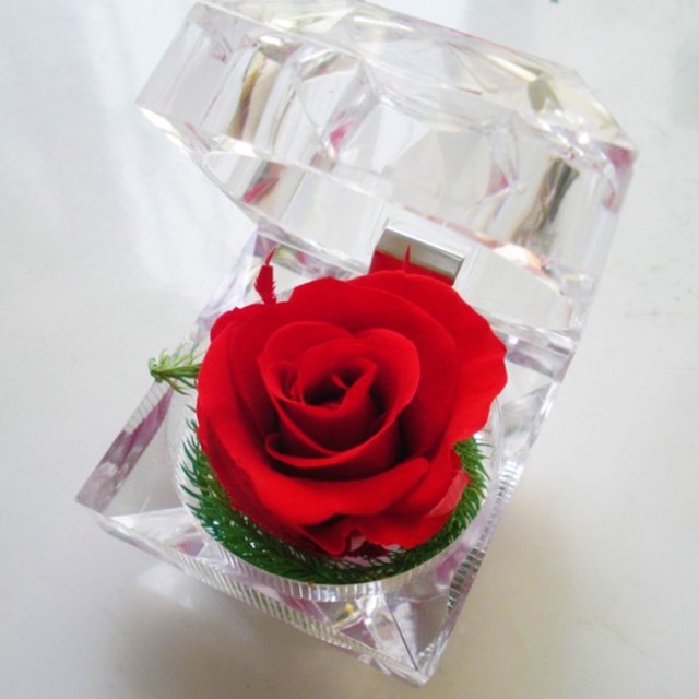 Travelwant Rose Ring Box Set - Satin Rose Jewelry Gift Boxes for ...