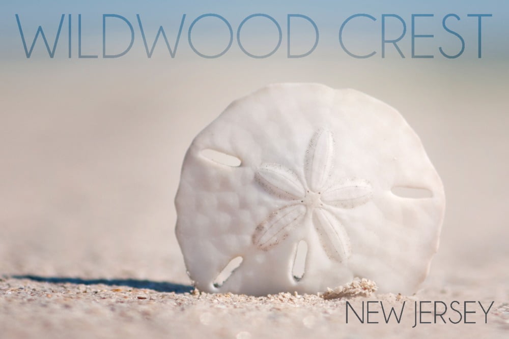 Wildwood Crest, New Jersey, Sand Dollar on Beach (12x18 Wall Art Poster ...