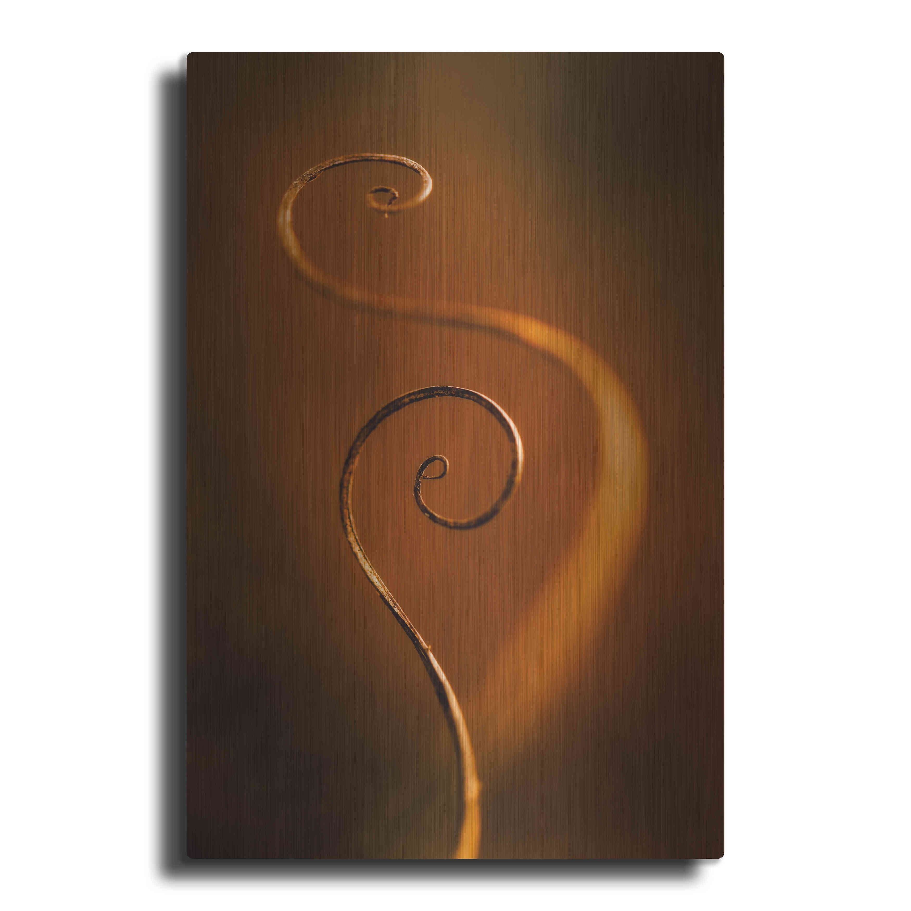 Luxe Metal Art 'Tendrils Red' by Thomas Haney, Metal Wall Art, 12"x16 ...