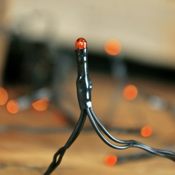 See All String Lights Harvest Rice Light Strings Battery Operated Black ...