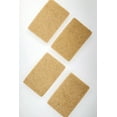 4-Pack Simply Good Biodegradable Scrub Sponges - Durable All-Natural ...