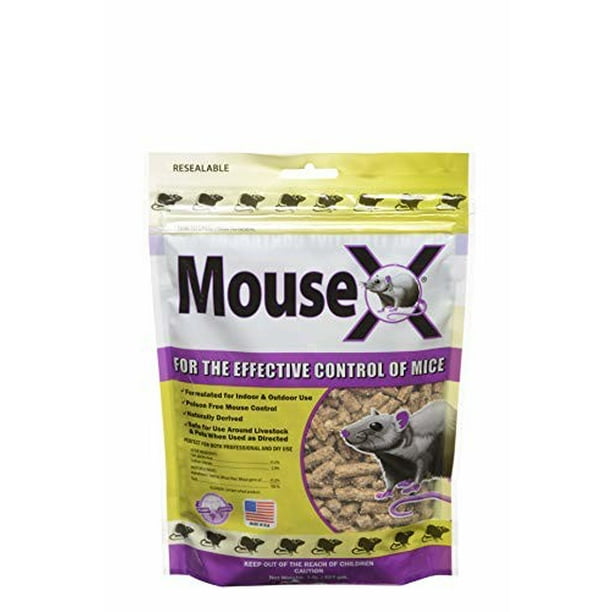 Mouse Poison Safe Dogs