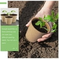 Raindrops Biodegradable Planter Pots for Plants Germination Starter ...