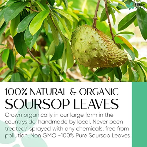 Soursop Leaves