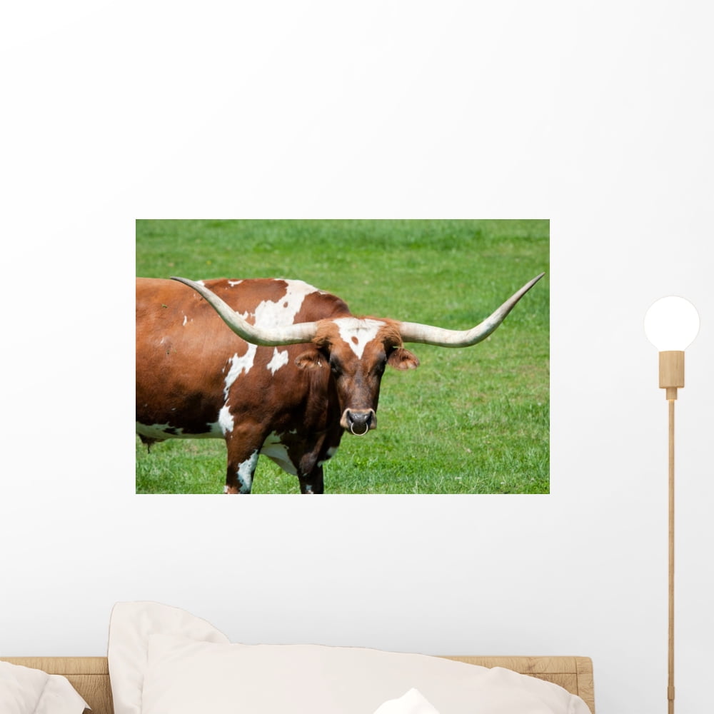 Longhorn Bull Wall Mural by Wallmonkeys Peel and Stick Graphic (18 in W ...