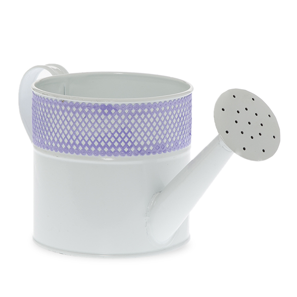 Spring Round Watering Can with Mesh Trim- Small 4in - Walmart.com