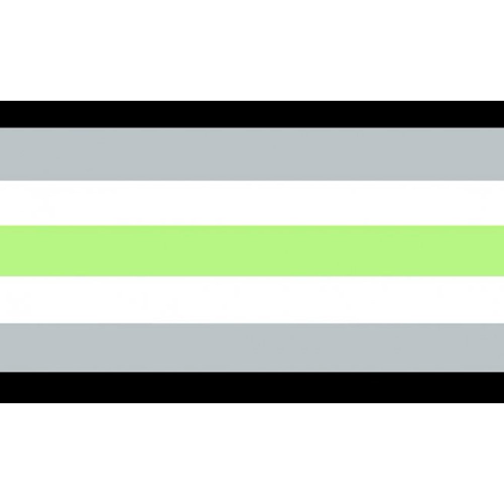 Agender Pride Flag 3' x 5' - Walmart.com - Walmart.com