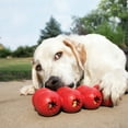 KONG® Rubber Goodie Ribbon Toy for Average Chewers, Large for Dogs ...