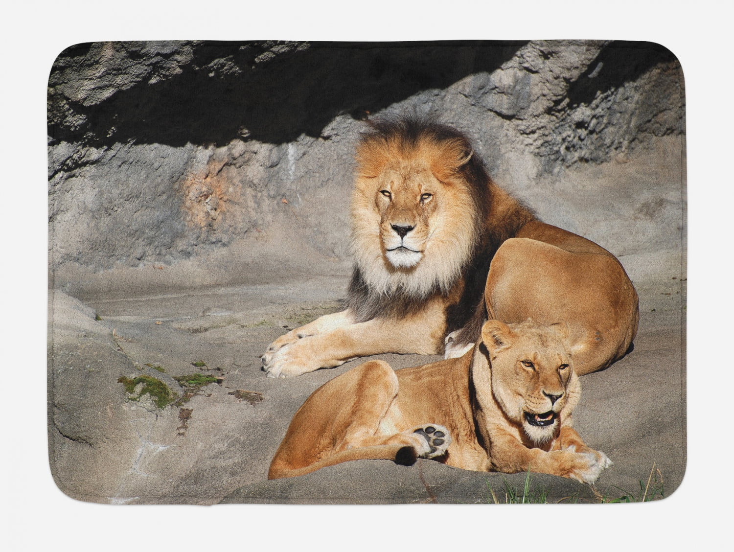 Zoo Bath Mat, Male and Female Lions Basking in the Sun Wild Cats ...
