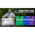 Arctic Ice 1203 Tundra Series Reusable Freezer Ice Pack Medium (1.5 lbs ...
