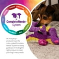 TrustyPup Dragon Squeaky Plush Chew Guard Dog Toy, Large Purple ...