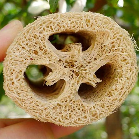 Exfoliating Luffa Bath Sponge, No Bleaching Shower Loofah Body Wash ...