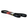 Motorcraft Serpentine Belt JK8-1261-A Fits select: 2003-2005 FORD ...