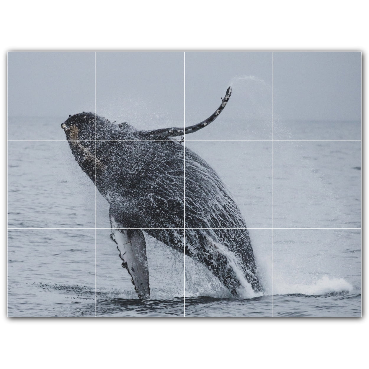 Picture-Tiles.com: Whale Ceramic Tile Wall Mural WAL501190-43XL. 48"W x ...