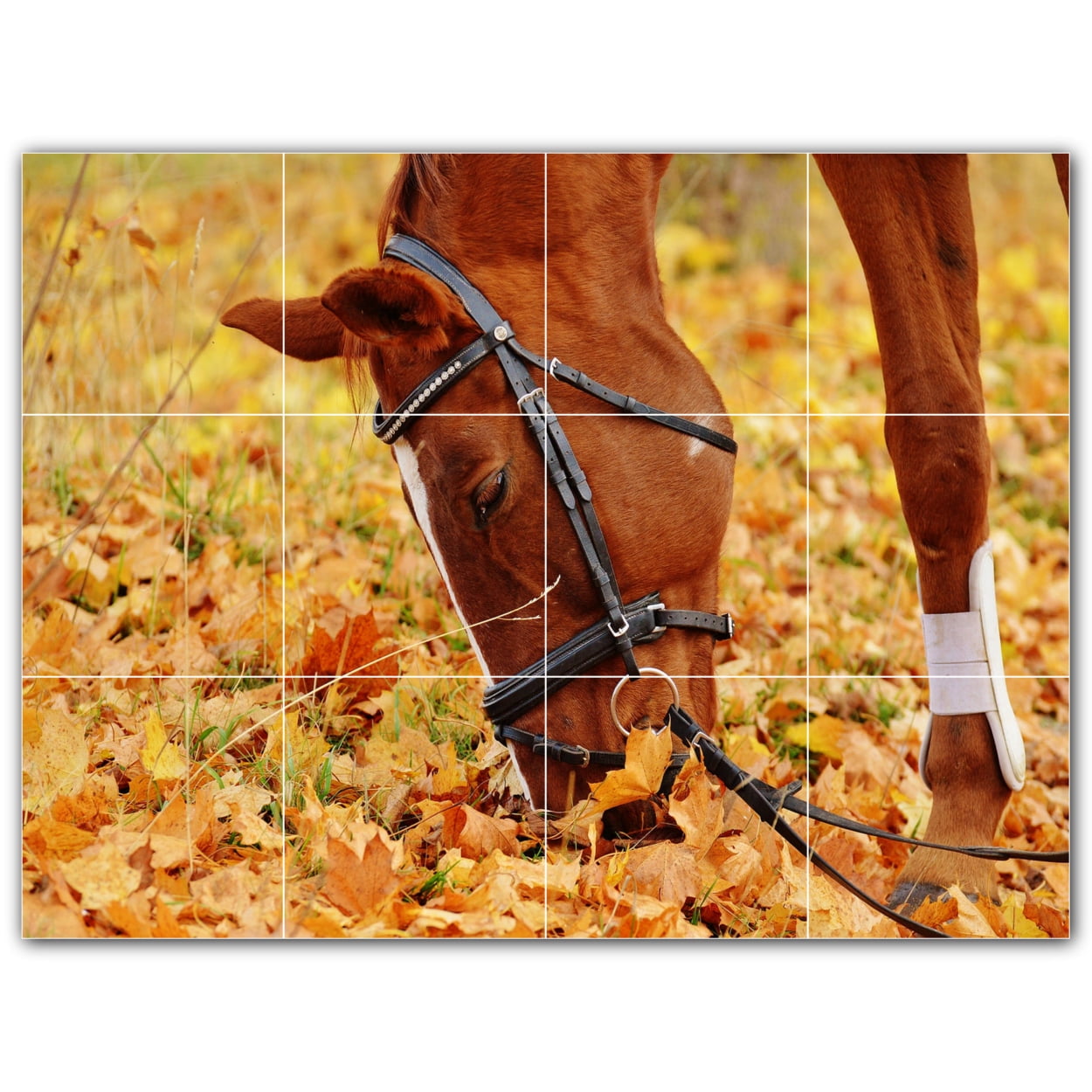 Picture-Tiles.com: Horse Ceramic Tile Wall Mural WAL500763-43M. 24"W x ...