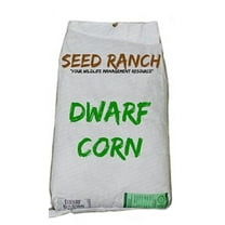 Dinner Getter Deer Food Plot Corn Seeds - 250 Seeds to Grow Deer Food ...