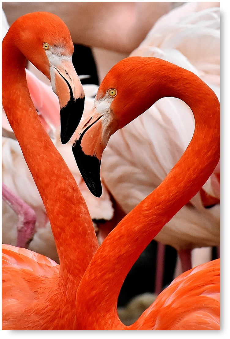 Awkward Styles Flamingo Couple Picture Pink Room Wall Art Love Decals ...