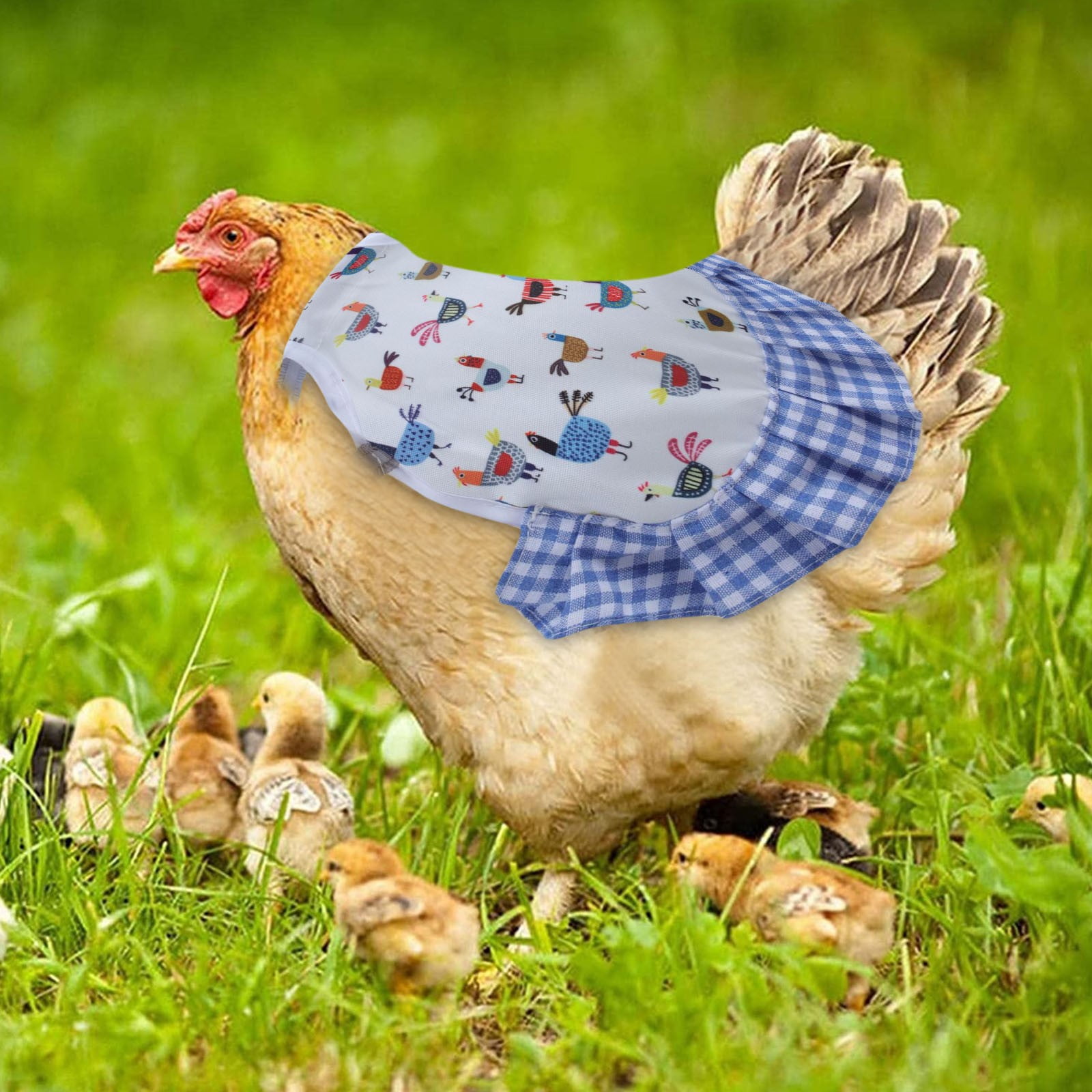Fridja Chicken Saddle, Elastic Straps Hen Apron for Poultry Back Wing ...
