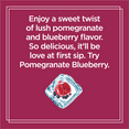 Sparkling Ice® Naturally Flavored Sparkling Water, Pomegranate Blueberry 17 Fl Oz, (Pack of 12 ...