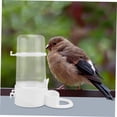 BESTYASH 2Pcs White Plastic Automatic Poultry Drinker Water Feeder Bowl ...