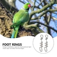 BESTYASH 2Pcs Stainless Steel Parrot Foot Rings Plated Silver for ...