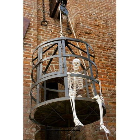 Innovative Living H1101 Halloween Skeleton in a Cage | Walmart Canada