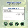 2 Pack Magnesium Citrate 500 MG for Calm, Relaxation, Constipation ...