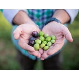 Partanna Everyday Mild Extra Virgin Olive Oil - Premium Castelvetrano ...