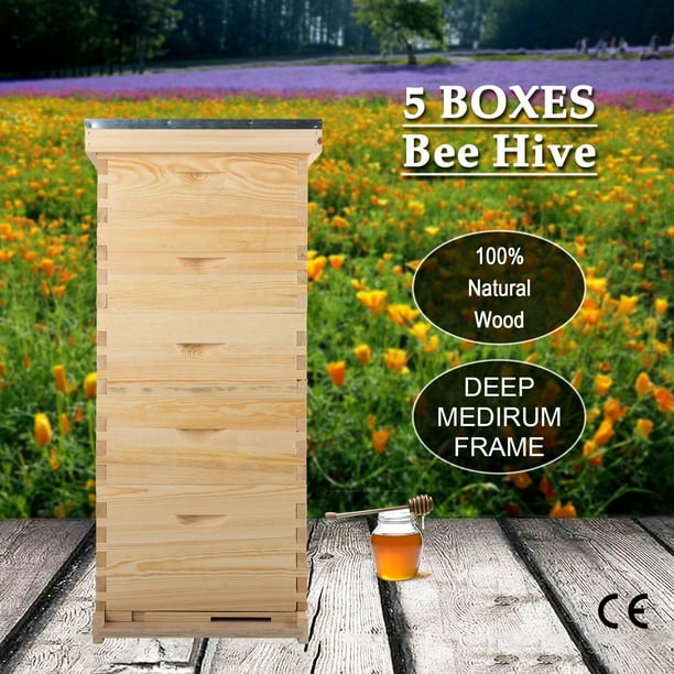 5 Brood Boxes Beehive for Beekeeping w/ Metal Roof for Beekeeping ...
