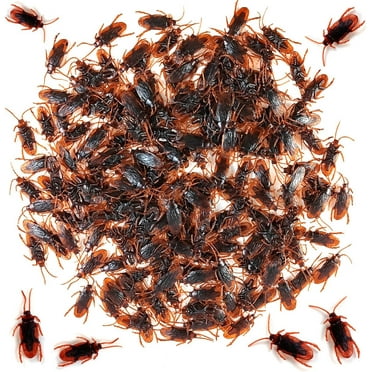 40pcs Scary Rubber Prank Fake Roaches, Realistic Plastic Bugs, Trick ...