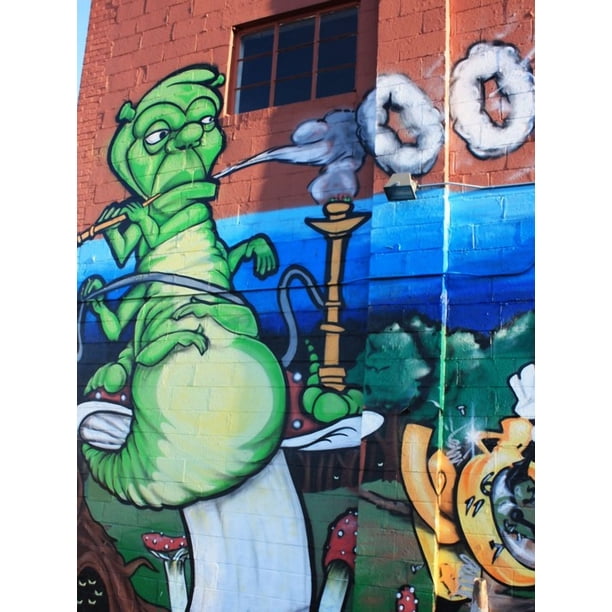 Alice In Wonderland Graffiti VII - CANVAS OR PRINT WALL ART - Walmart.com