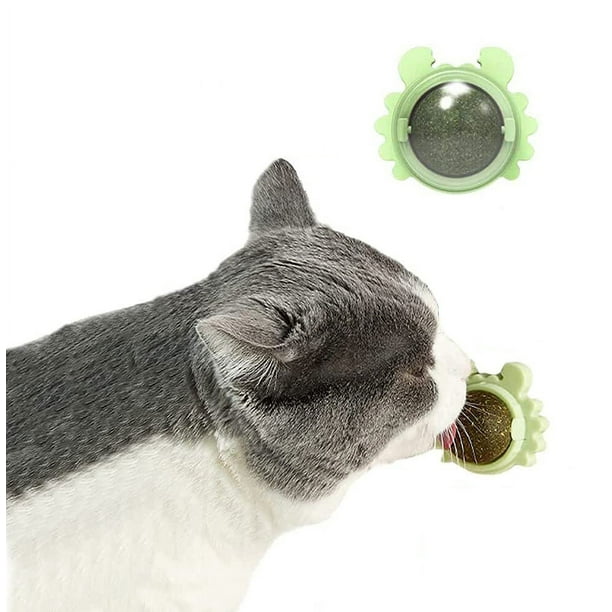 Amdohai Catnip Wall Ball, 1-Piece Cat Toy Set, Edible Cat Licking Toy, Cat Chew Toy, - Walmart.ca