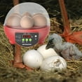 USB Automatic Egg Incubator and Turner for Chicken and Duck Eggs with ...