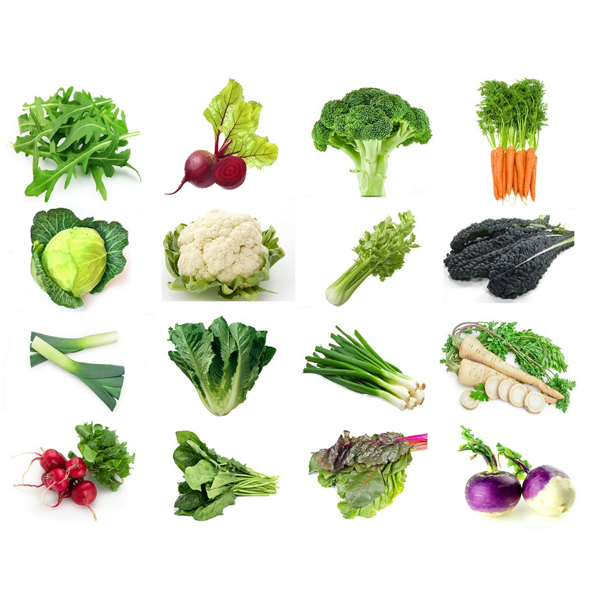 Seed Vegetables List