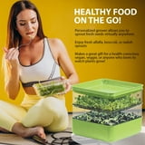 Gardens Alive Seed Sprouter Growing Kit, 2-Tier Trays, Easy Indoor ...