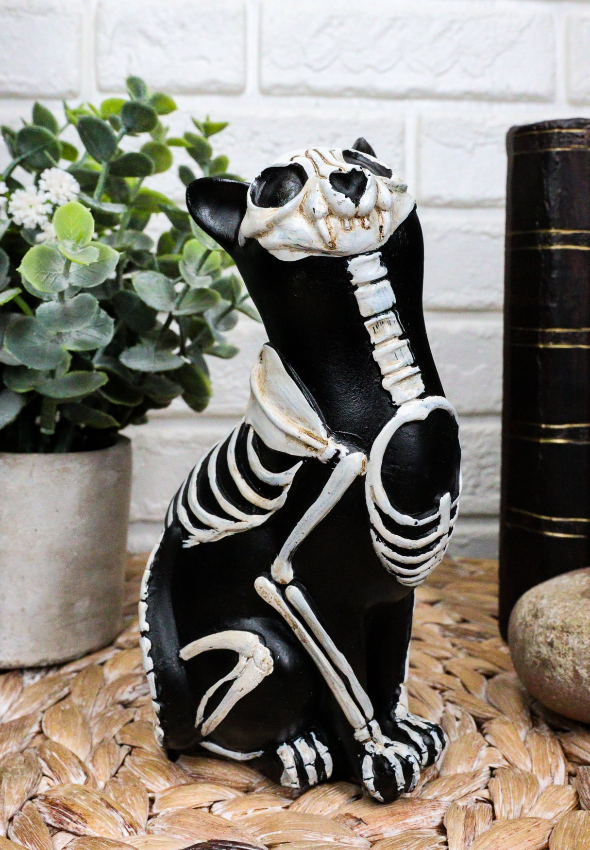 Ebros DOD Skeleton Cat Statue Halloween X-Ray Decor Crazy for Cats ...