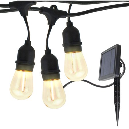 Newhouse Lighting cSTRINgSOL24 24-Foot, Socket IndoorOutdoor String 12 ...