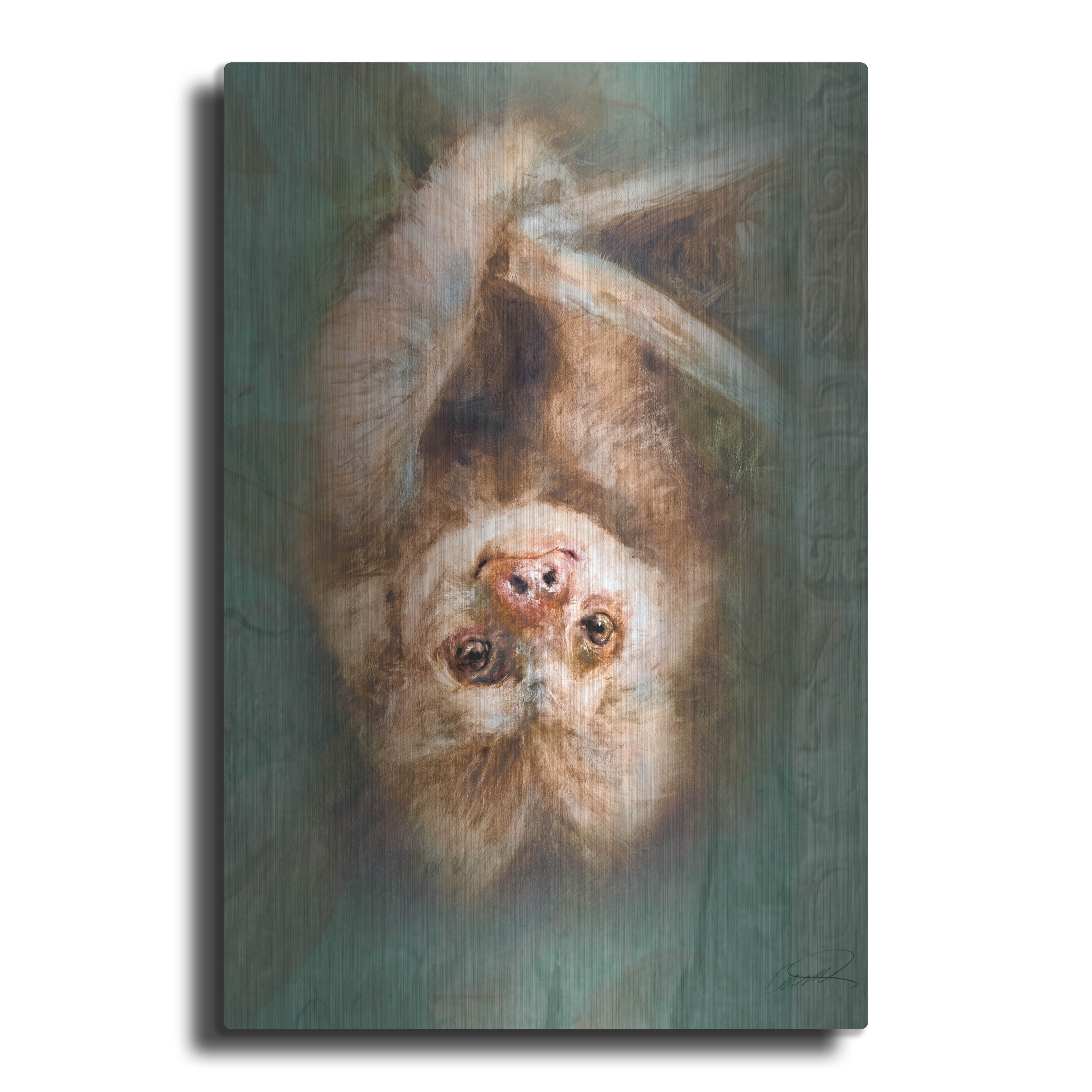 Luxe Metal Art 'Two-Toed Sloth' by Robert Campbell, Metal Wall Art, 16 ...