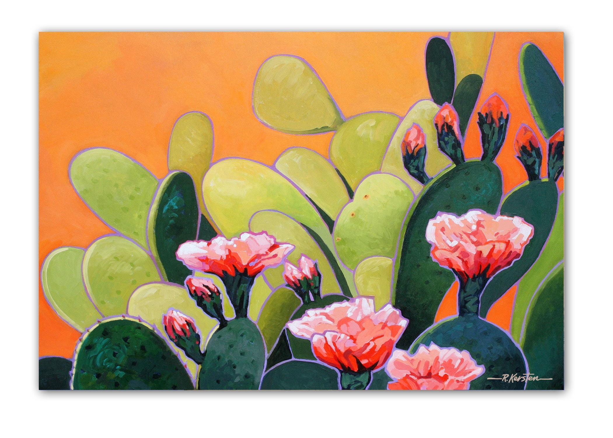Cactus Bloom Postcards - 4 x 6 Western Desert Postcards - 40 Desert ...