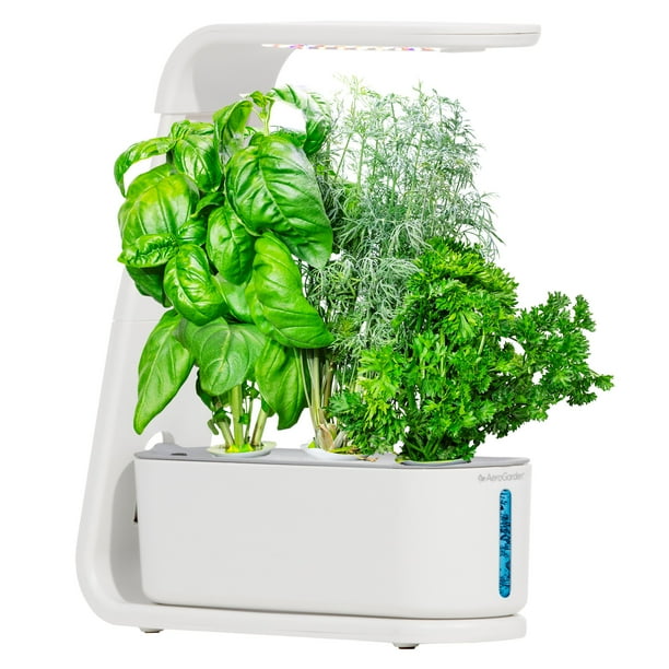 AeroGarden Sprout with Gourmet Herb Seed Pod Kit Plus Bonus Salad ...