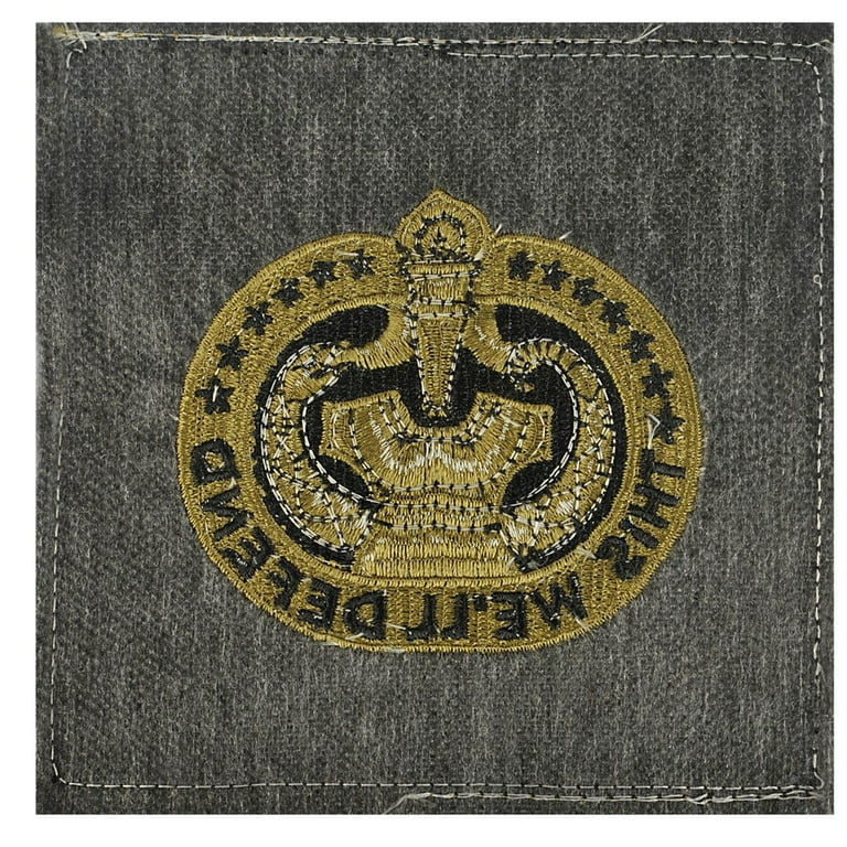 Army Drill Sergeant Badge