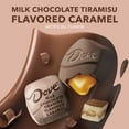 Dove Promises Individually Wrapped Milk Chocolate Tiramisu Caramel ...