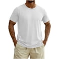 BRGZLK Short Sleeve Shirt For Men Crew Neck Casual Workout Breathable ...