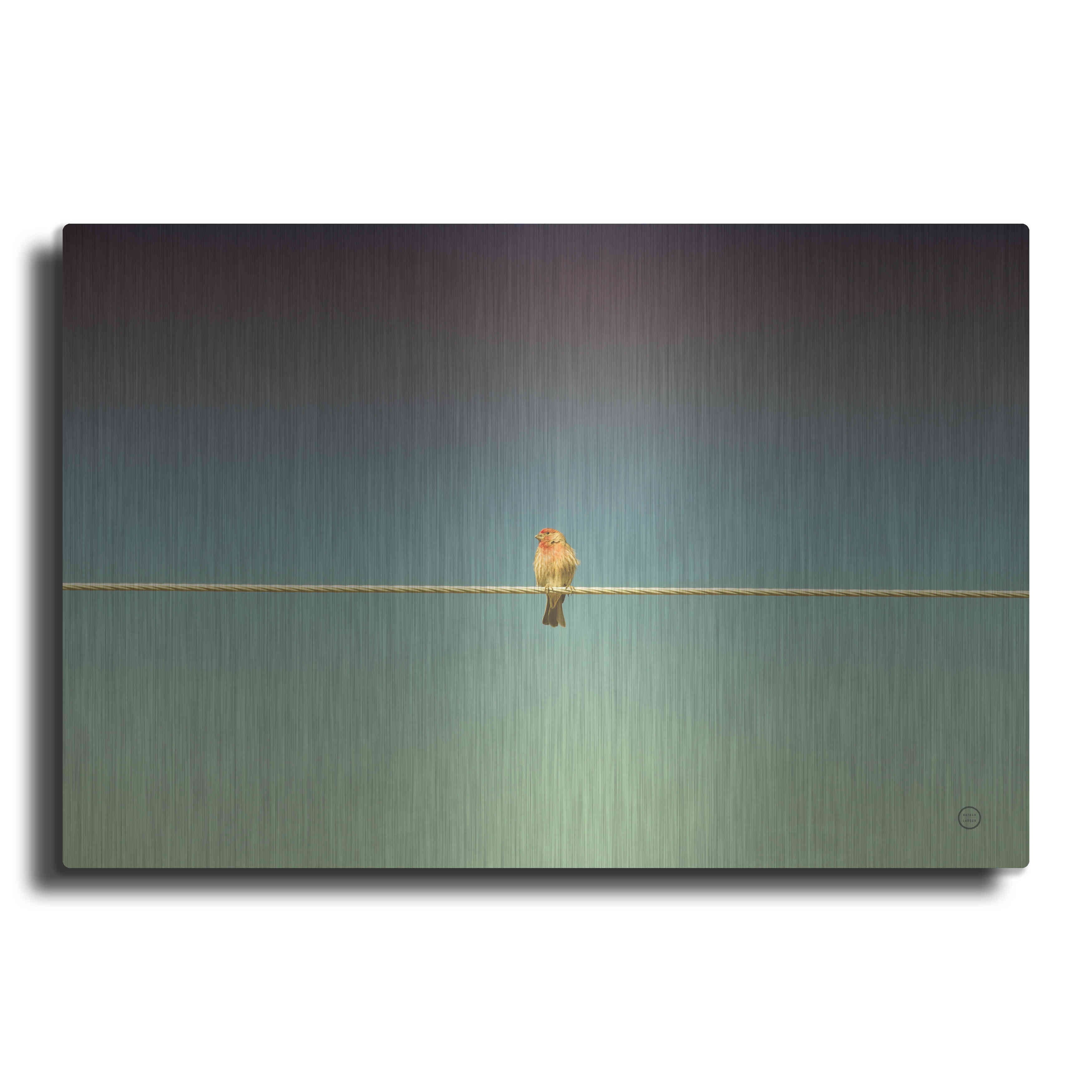 Luxe Metal Art 'Waiting' by Nathan Larson, Metal Wall Art, 24"x16 ...