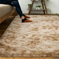 Junovo Luxury Velvet Shag Area Rug Modern Indoor Fluffy Rugs, Extra ...
