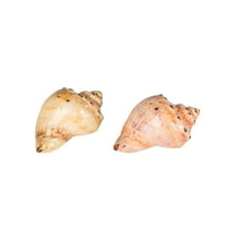 Beachcombers Flamingo Salt and Pepper Shaker Set of 2 L2.83 x W1.97 X ...