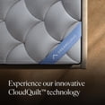 DreamCloud Twin XL Mattress | Medical patient beds - Walmart Business ...