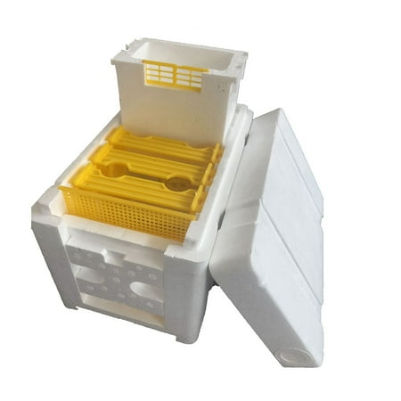 Home Hive Box Beehive Pollination Beekeeping Garden Bee Bee Mating Tool ...