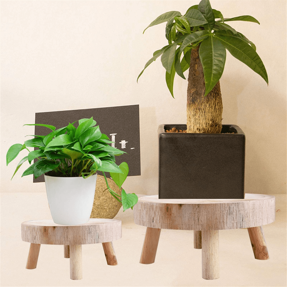 Mini stool for plant store