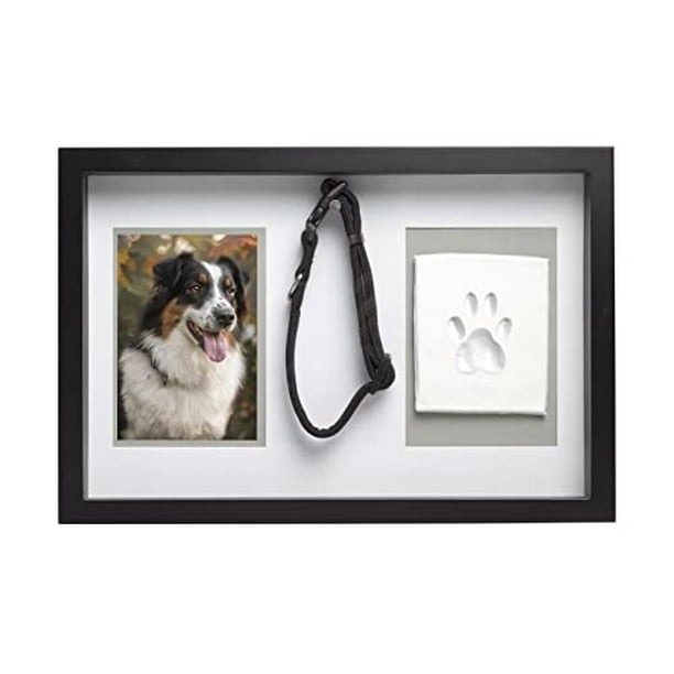 Pearhead Pawprints Collar Frame, Dog or Cat Keepsake Photo Frame, Clay ...